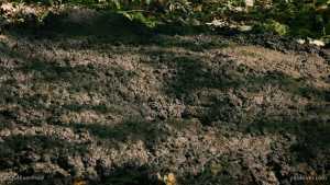 Black Bottomless Forest Mud: Luna: - UMD